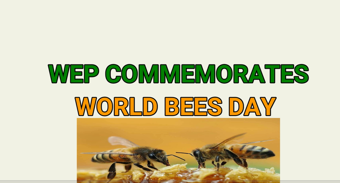 WEP COMMEMORATES WORLD BEE DAY 2020 – WEP